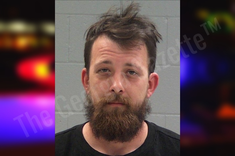 James Ford — Baldwin County Jail Bookings