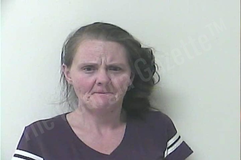 Christa Fink — Oconee County Jail Bookings