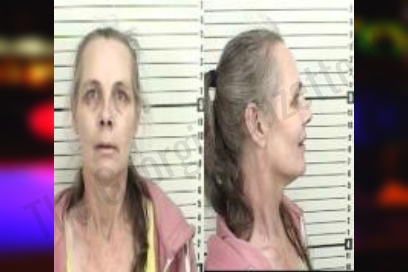 Elizabeth Freeman — Camden County Jail Bookings