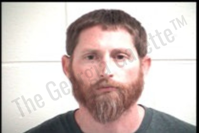 Willie Gaylor — Henry County Jail Bookings