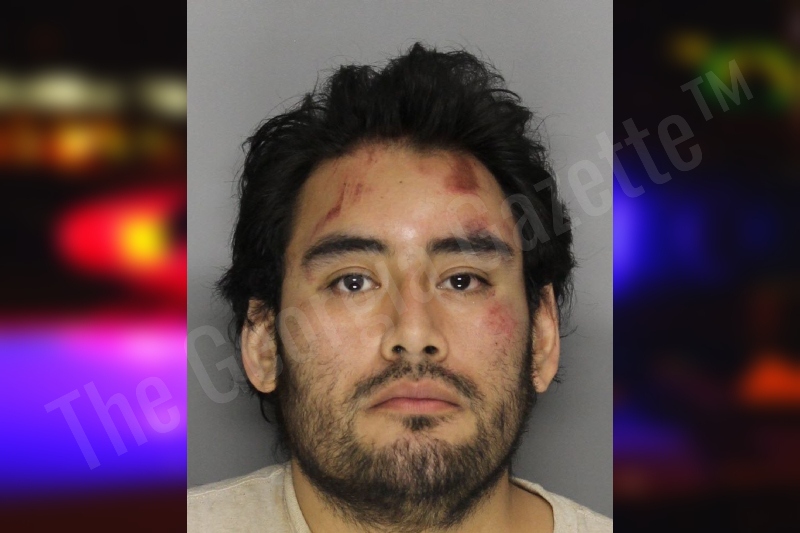 Cristopher Gonzalez — Cobb County Jail Bookings