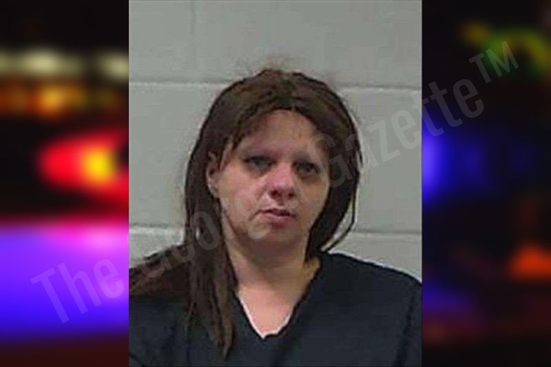 Kristen Gentry — Gilmer County Jail Bookings