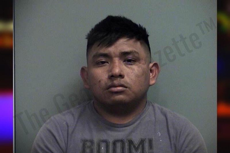 Manuel Gonzalez — Effingham County Jail Bookings