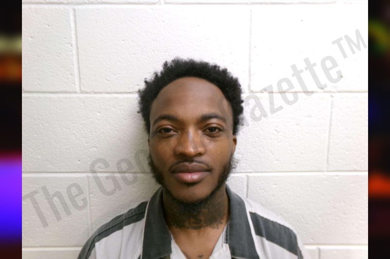 Tyler Gordon — Bulloch County Jail Bookings