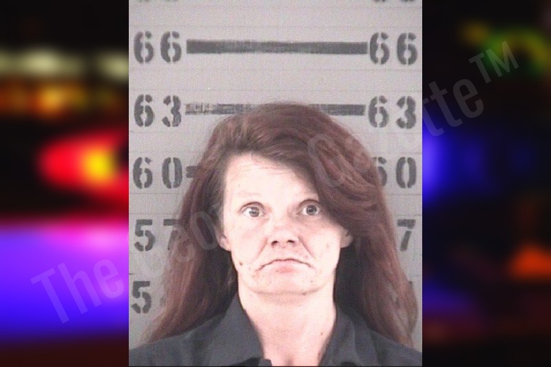 Mary Guzman-Alvarez — Dougherty County Jail Bookings