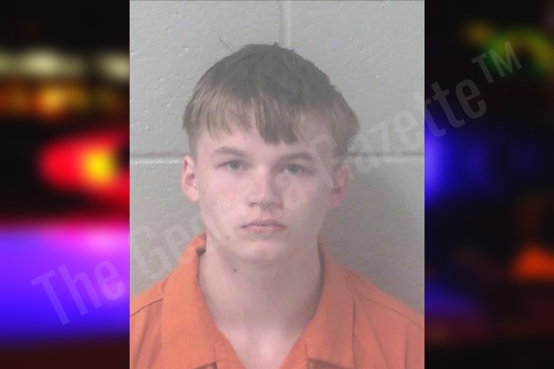 Joshua Hardin — Newton County Jail Bookings