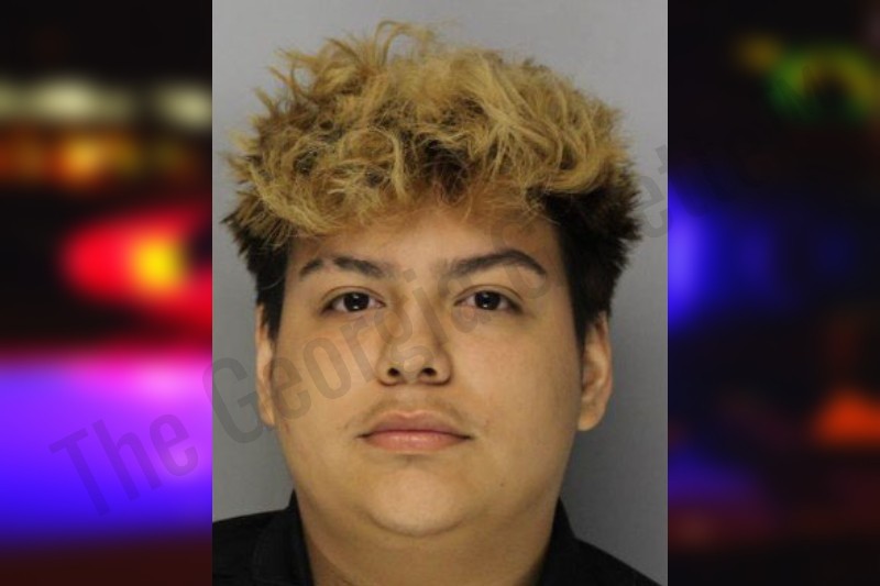 Leonel Hernandez — Hall County Jail Bookings