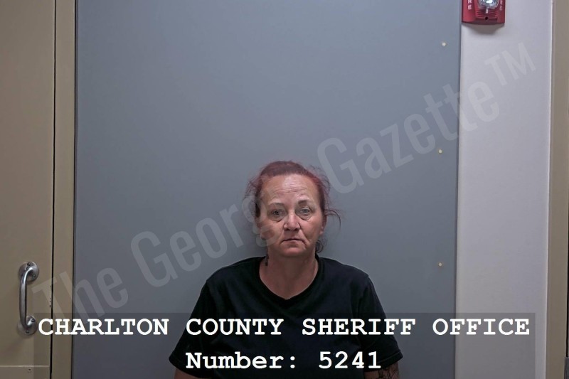 Jennifer Hill — Charlton County Jail Bookings