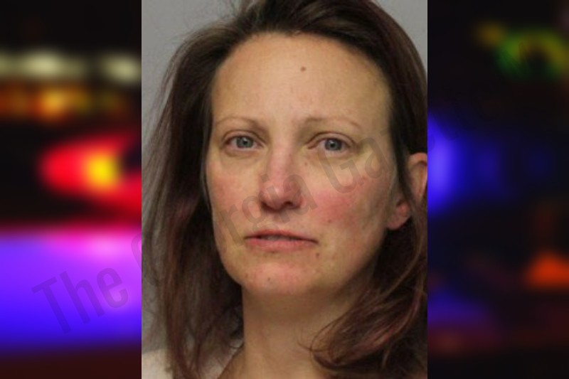 Heather Hopkins — Hall County Jail Bookings