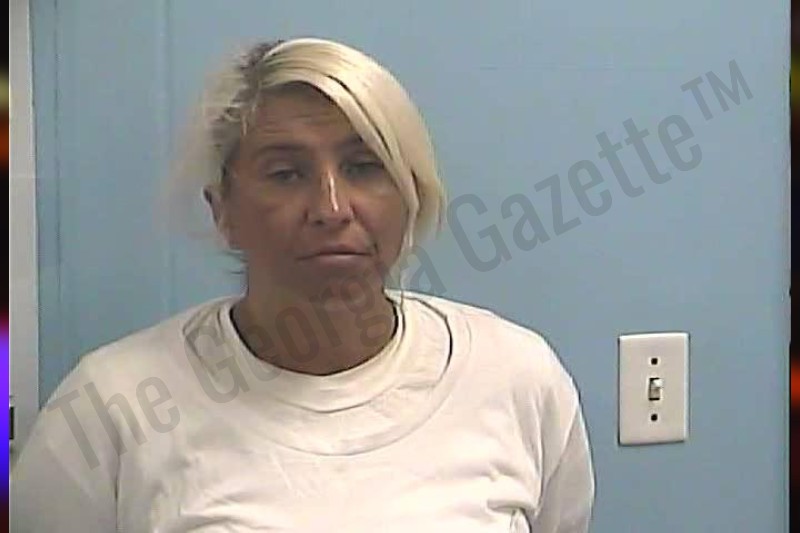 Jessica Hamilton — Dawson County Jail Bookings