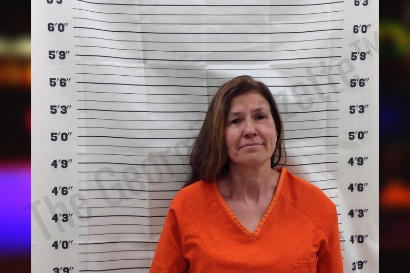 Sherri Hamilton — Pickens County Jail Bookings
