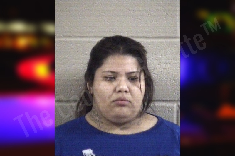 Alexandra Hernandez — Whitfield County Jail Bookings