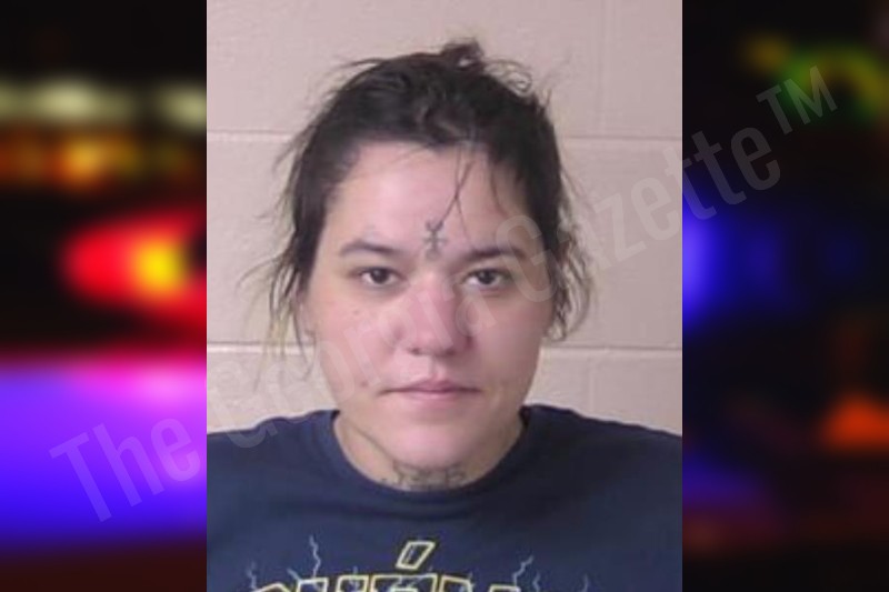 Ashley Hester — Walker County Jail Bookings