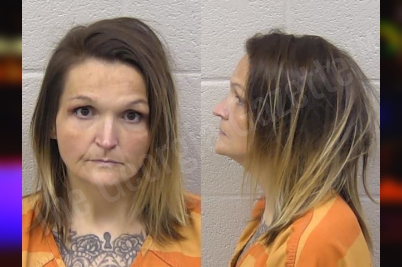 Amberly Hollis — Paulding County Jail Bookings