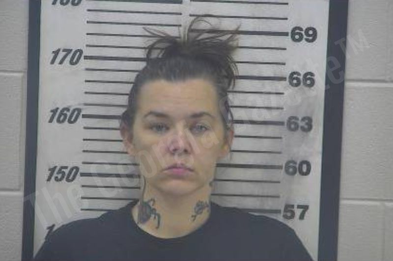 Amber Johnson — Coffee County Jail Bookings
