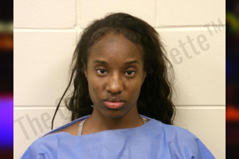 Ambrea Johnson — Bulloch County Jail Bookings