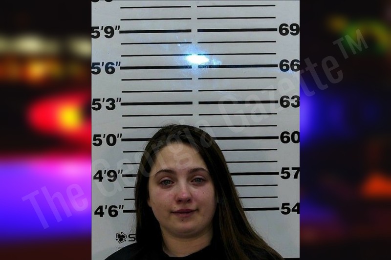 Danielle Johnson — Hart County Jail Bookings