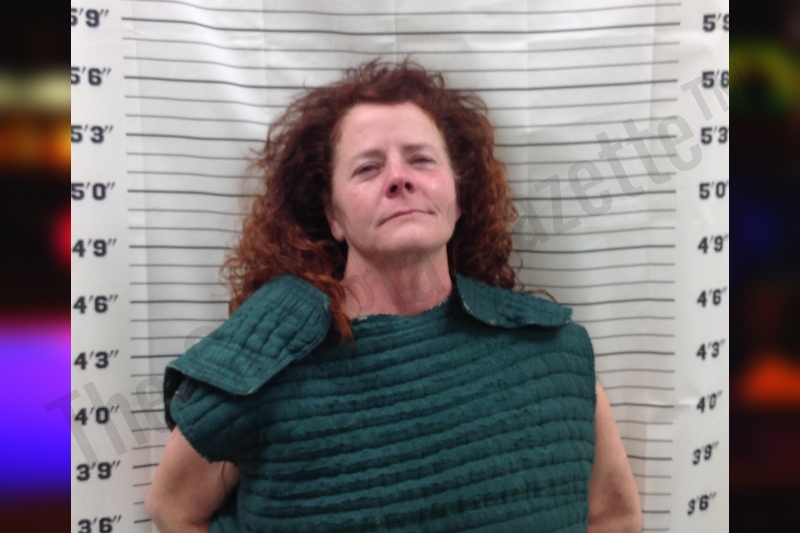 Jean Jones — Pickens County Jail Bookings