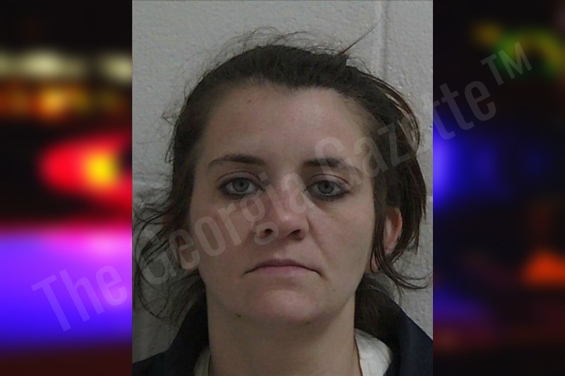 Hailey Knowles — Decatur County Jail Bookings