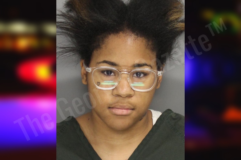 Ariel Knox — Cobb County Jail Bookings