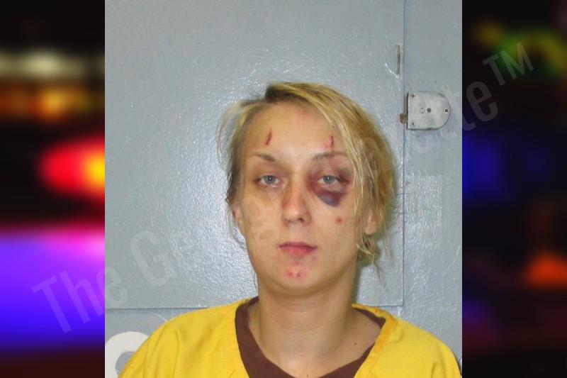 Jan Kinney — McIntosh County Jail Bookings