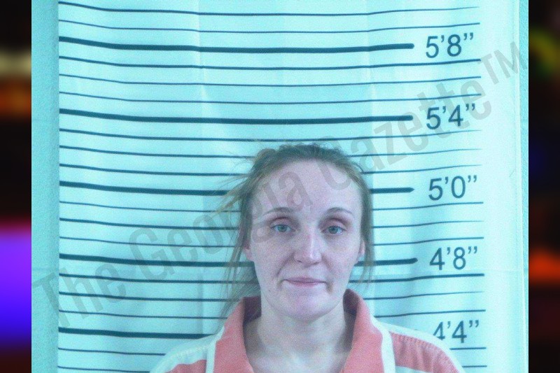 Jamie Lee — Stephens County Jail Bookings