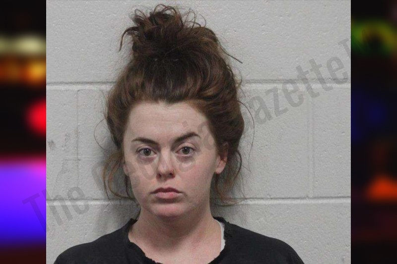 Jennifer Lovell — Habersham County Jail Bookings