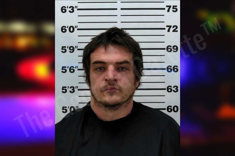 Kenneth Larson — Hart County Jail Bookings