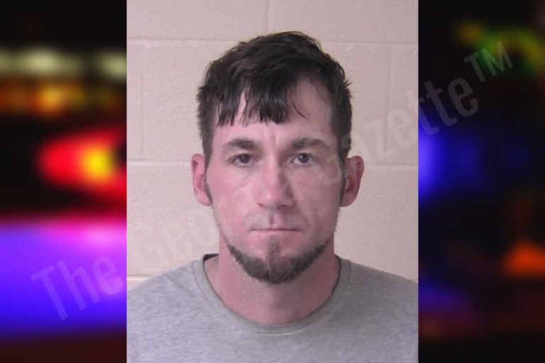 Steven Lee — Walker County Jail Bookings