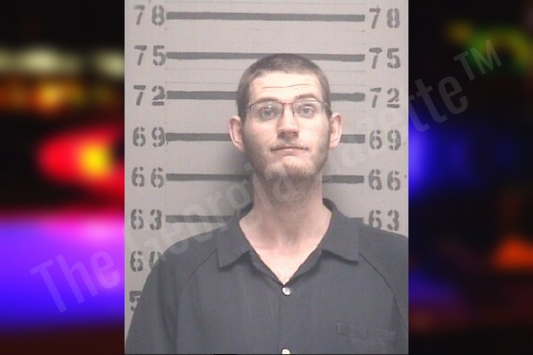 Gavin Lewis — Dougherty County Jail Bookings