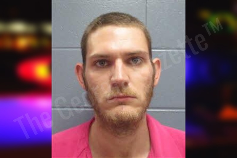 Gavin Lewis — Lee County Jail Bookings