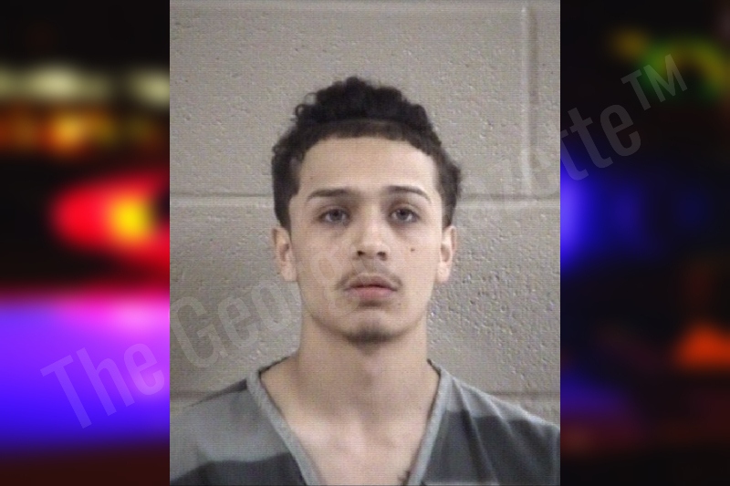 Eric Link — Whitfield County Jail Bookings