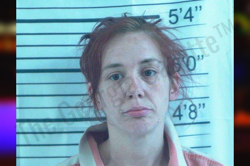 Candice Martin — Stephens County Jail Bookings