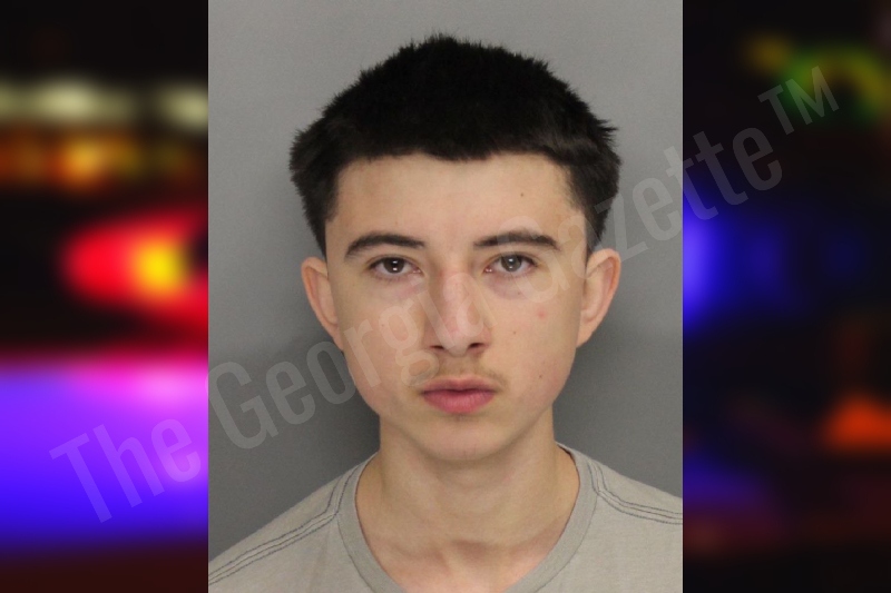 Alexander Mautz — Cobb County Jail Bookings