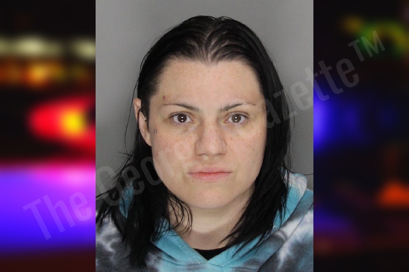 Michelle McClendon — Cobb County Jail Bookings