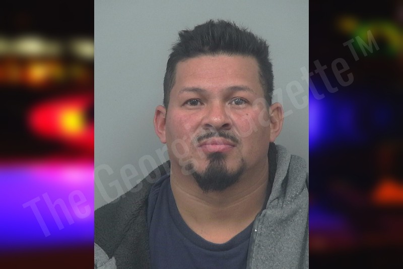 Honan Mendez Sevilla — Gwinnett County Jail Bookings