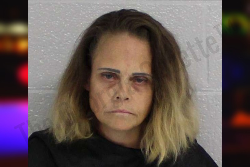 Terri Mendieta Zuniga — Carroll County Jail Bookings