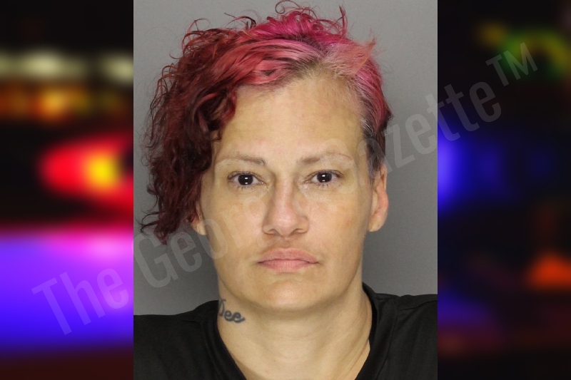 Heather Moreau — Cobb County Jail Bookings