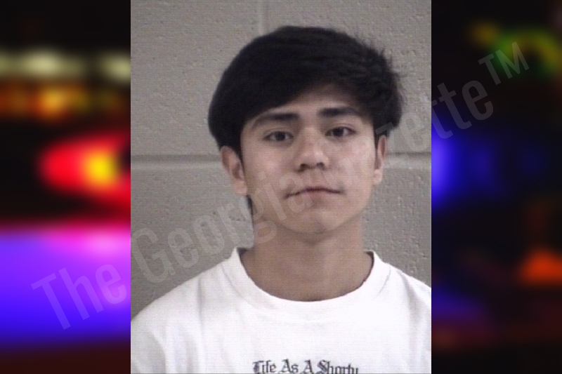 Johnny Mendiola — Whitfield County Jail Bookings Johnny Mendiola — Whitfield County Jail Bookings