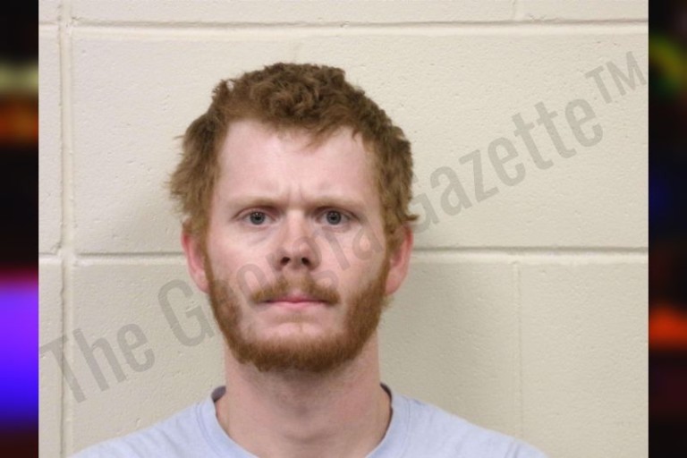 Bulloch County Jail Bookings – Page 8 – The Georgia Gazette