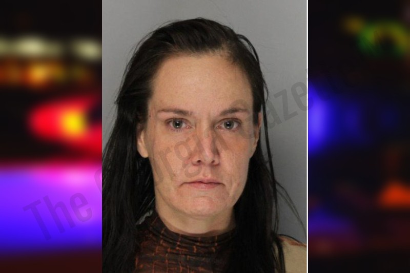 Kimberly Nolan — Hall County Jail Bookings