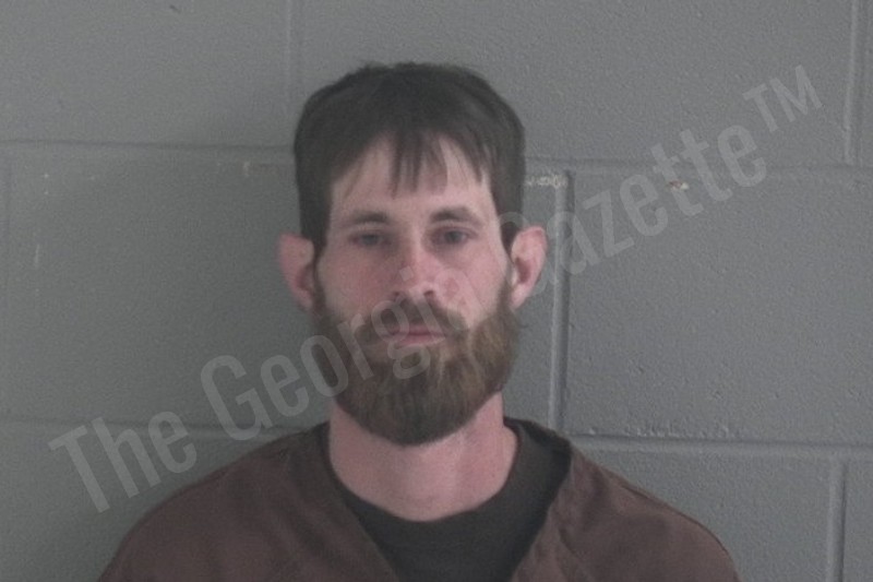 Dillon Poole — Brantley County Jail Bookings