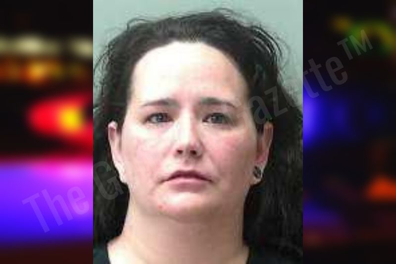 Danielle Partin — Towns County Jail Bookings
