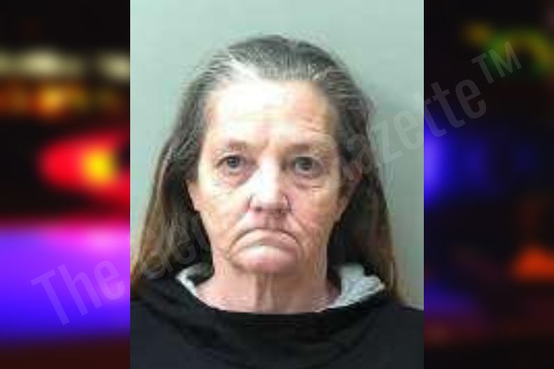 Michelle Patterson — Towns County Jail Bookings