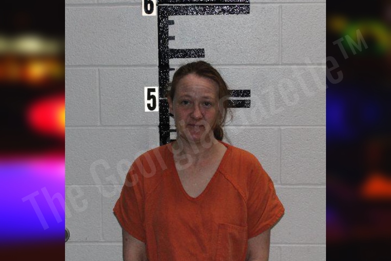 Dicey Paulk — Murray County Jail Bookings