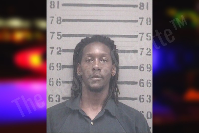 Davis Perkins — Dougherty County Jail Bookings