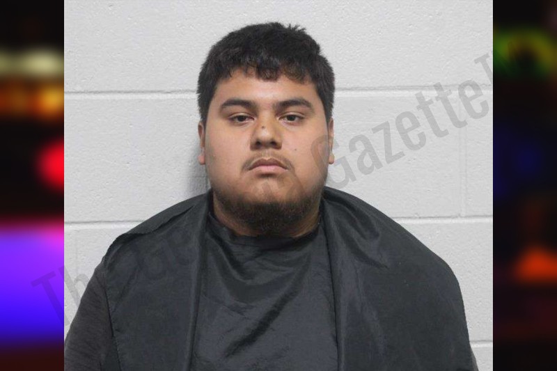 Daniel Ramirez-Hernandez — Habersham County Jail Bookings