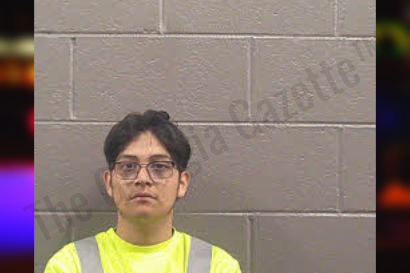 Raphael Ibarra Torres — Banks County Jail Bookings