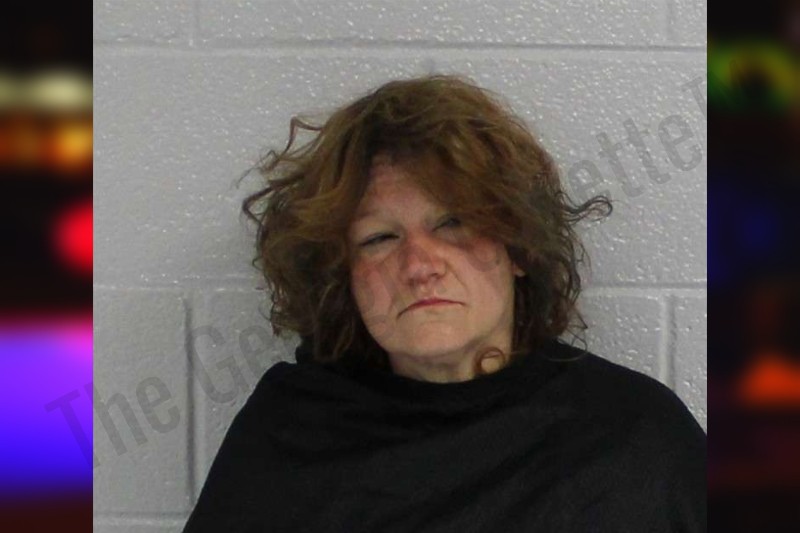 Rebecca Reich — Carroll County Jail Bookings