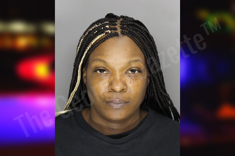 Alaina Ridgley — Cobb County Jail Bookings